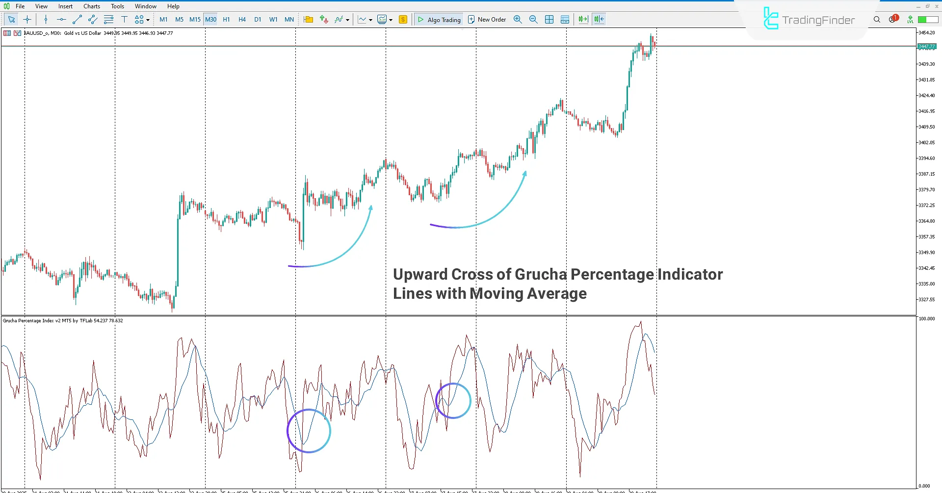 Grucha Percentage Index Indicator in MetaTrader 5 – Free